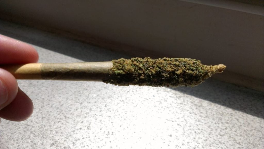 What is a Cannabis Tarantula Joint? (& How to Make One) - Weed News