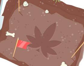 Smoking Weed While Sick: Pros, Cons and Best Options - Weed News